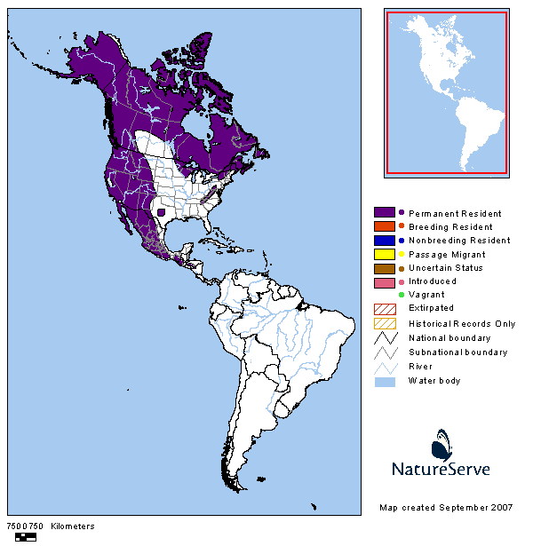 Tennessee Watchable Wildlife | Common Raven - Habitat: Tennessee Watchable Wildlife | Common Raven - Habitat: