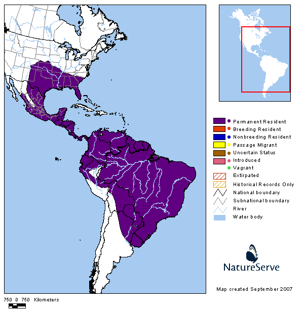 Armadillo World map, 1977 [2276x1797] : r/MapPorn