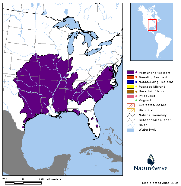 Tennessee Watchable Wildlife | Yellow-bellied Kingsnake Tennessee Watchable Wildlife | Yellow-bellied Kingsnake