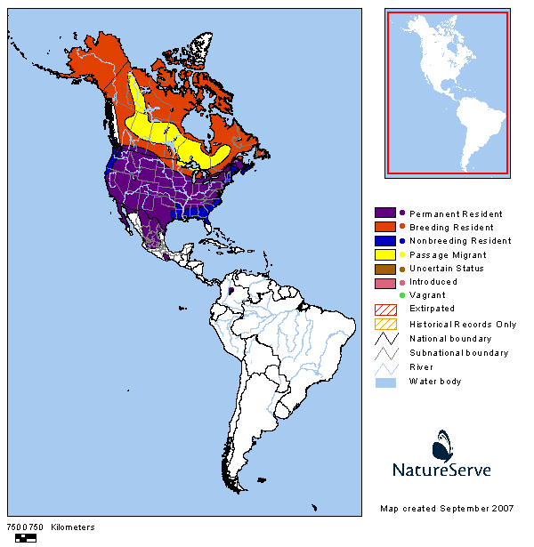 Tennessee Watchable Wildlife | Horned Lark - Habitat: