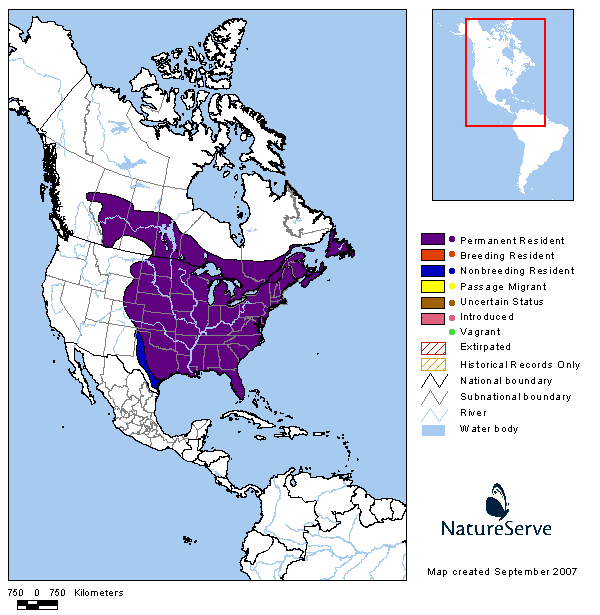 Tennessee Watchable Wildlife | Blue Jay - Habitat:
