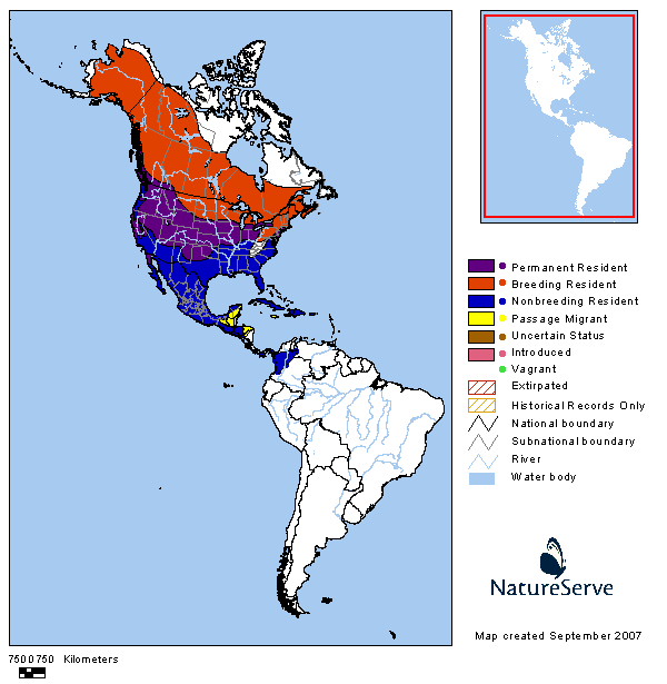 Birding Trails - Tennessee Wildlife Resource Agency | Northern Harrier