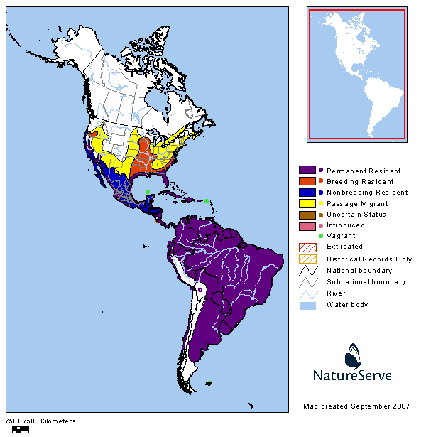 Birding Trails - Tennessee Wildlife Resource Agency | Great Egret