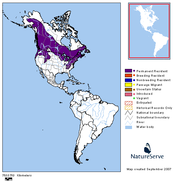 Tennessee Watchable Wildlife | Ruffed Grouse - Habitat: 1