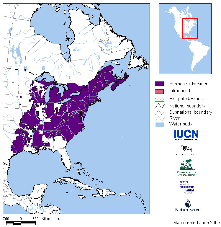Tennessee Watchable Wildlife | Pickerel Frog