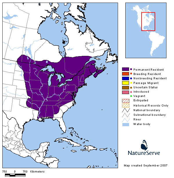 Tennessee Watchable Wildlife | Eastern Chipmunk